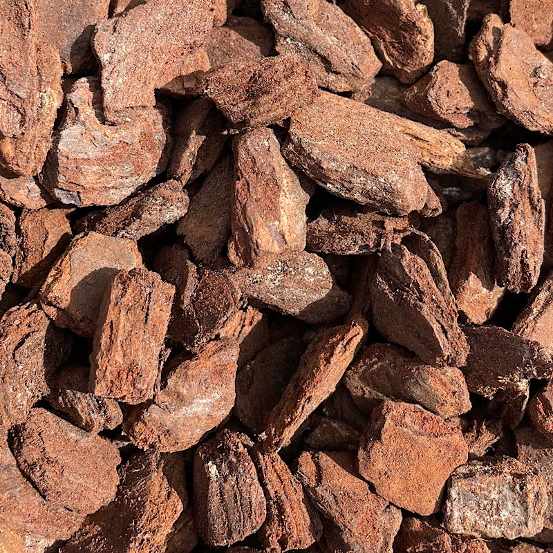 Orchid Bark Chunky 1L Loose – The Green Vine Plants