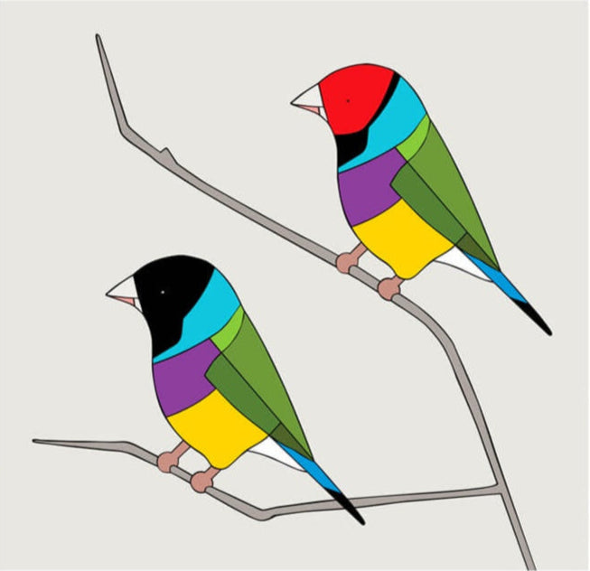 Gouldian Finches Art Print by Eggpicnic – The Green Vine Plants