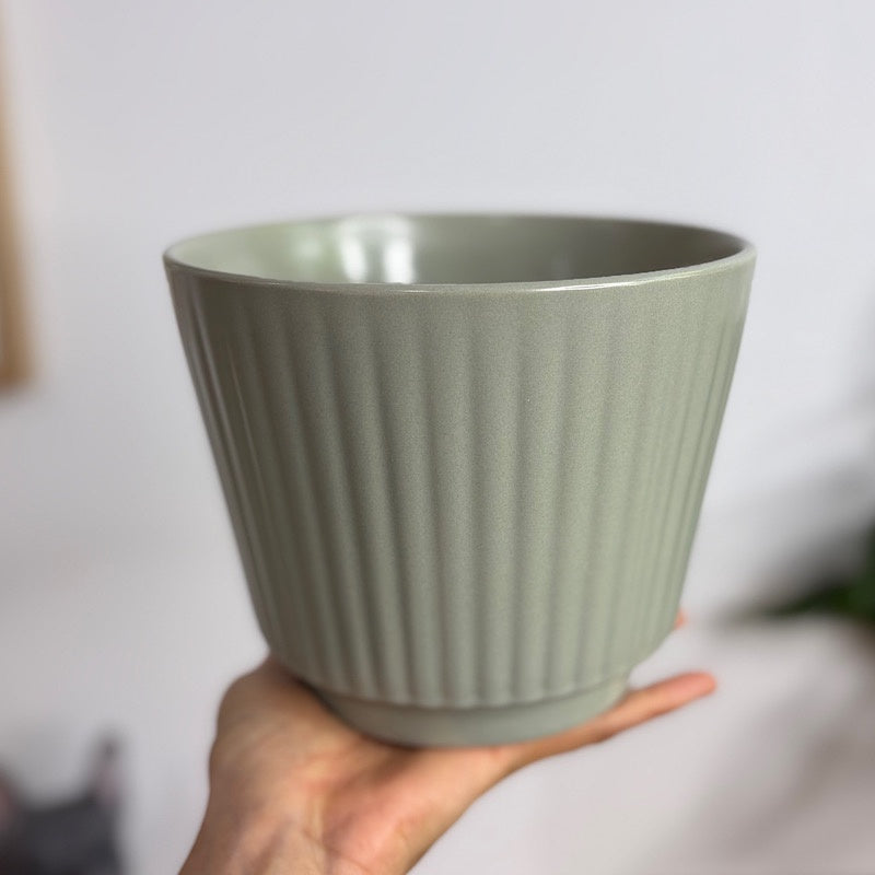 Tuno Pot Sage 17cm – The Green Vine Plants