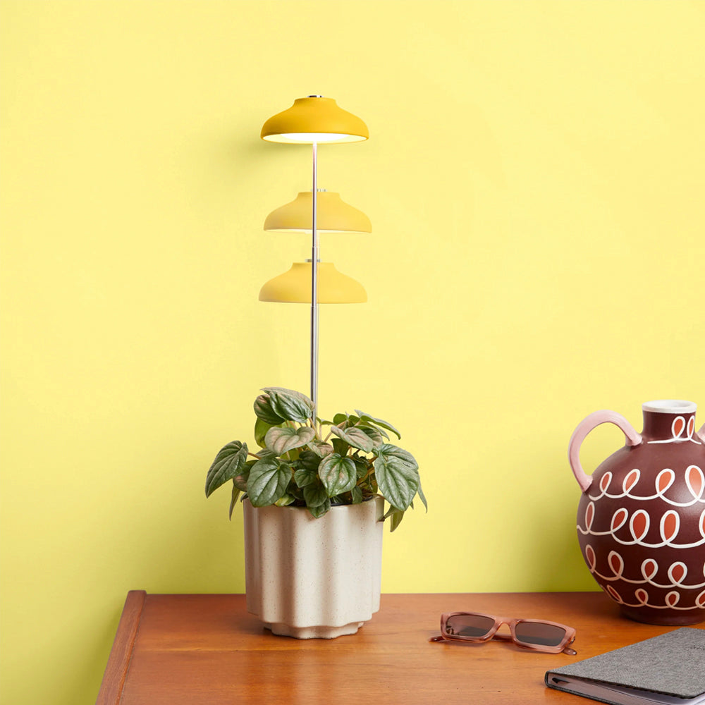 We The Wild Instant Sun Grow Lamp – The Green Vine Plants