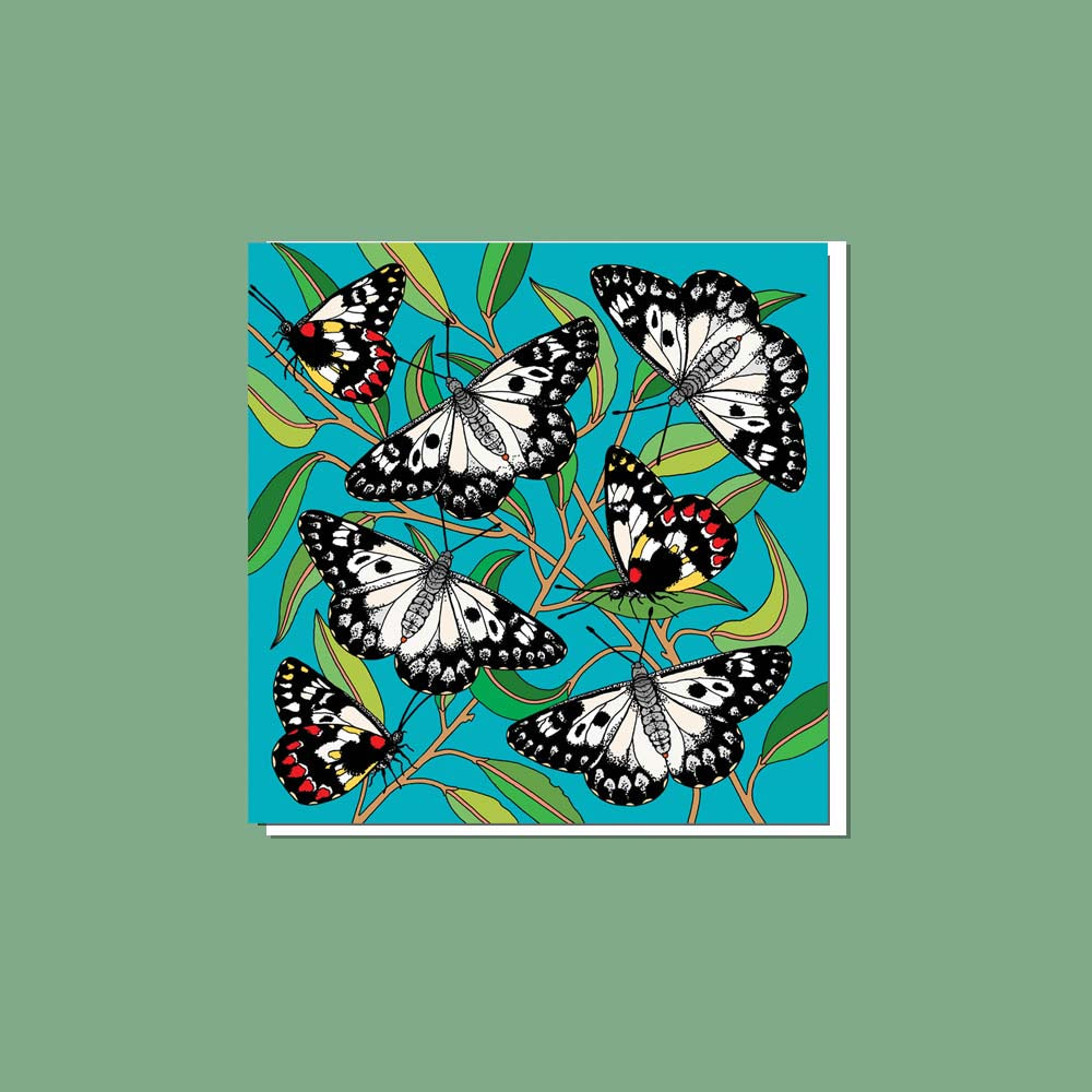 Wood White Jezebel Greeting Card – The Green Vine Plants