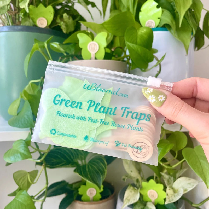 uBloomd Nature Green Plant Traps x10 – The Green Vine Plants
